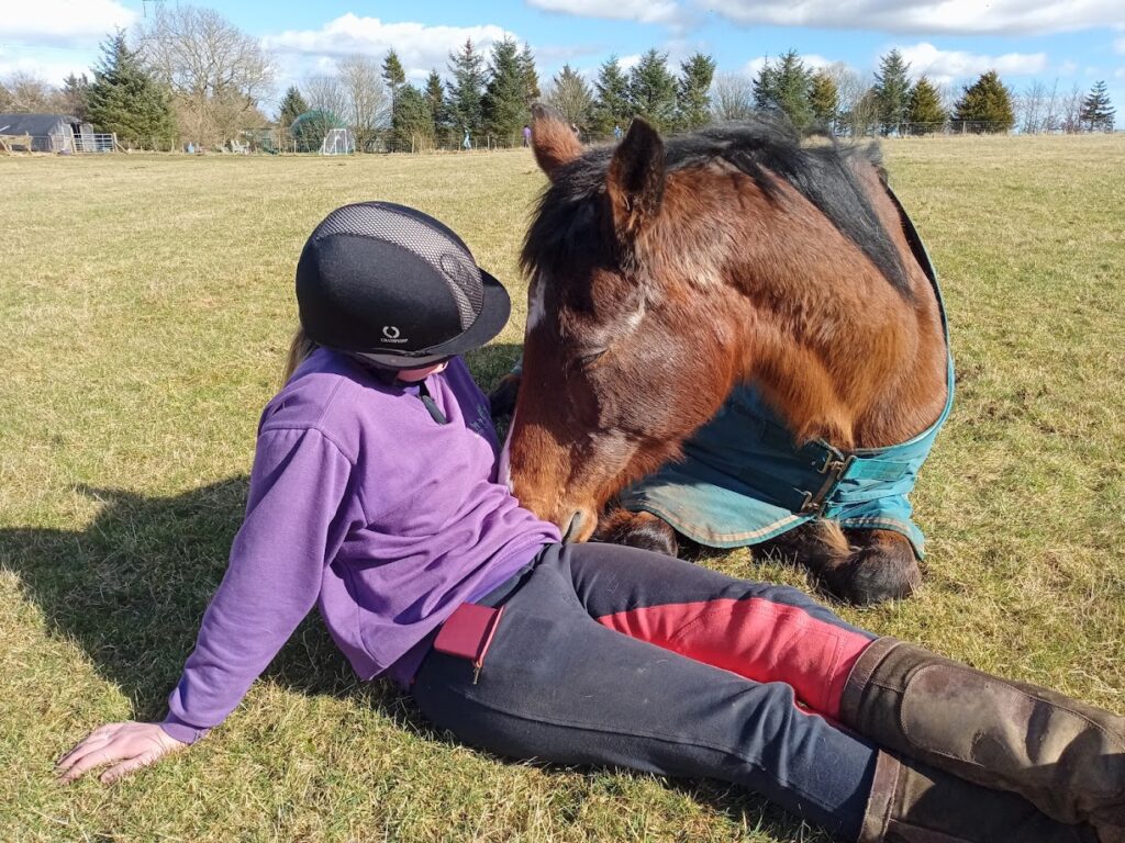 Contact - Buchan Community Farm